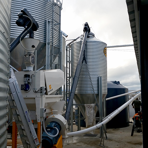In-Shed Feed Systems - PMR Grain Systems