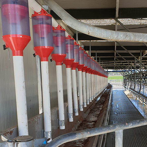 In-Shed Feed Systems - PMR Grain Systems