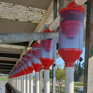 In-Shed Feed Systems - PMR Grain Systems