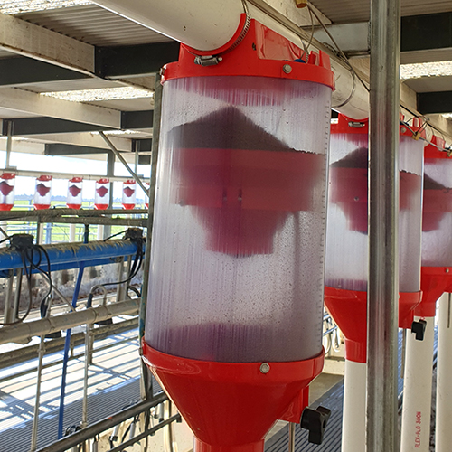 In-Shed Feed Systems - PMR Grain Systems