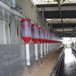 In-Shed Feed Systems - PMR Grain Systems