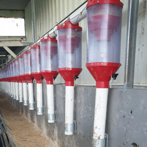 In-Shed Feed Systems - PMR Grain Systems