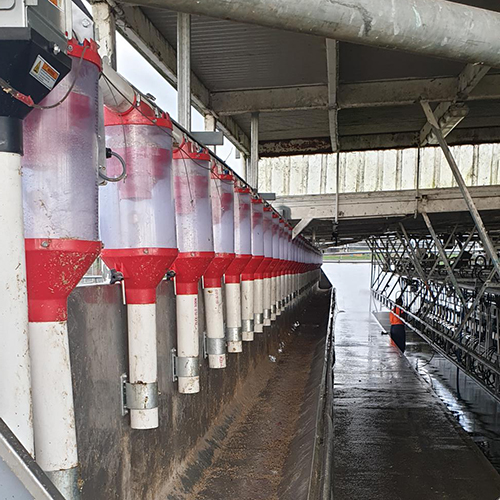 In-Shed Feed Systems - PMR Grain Systems